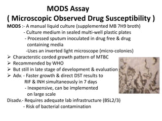 Conventional lab diagnosis of tb | PPTX