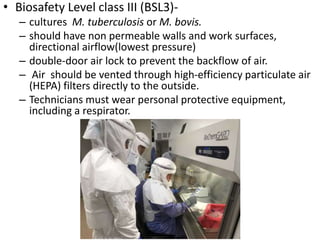 Conventional lab diagnosis of tb | PPTX