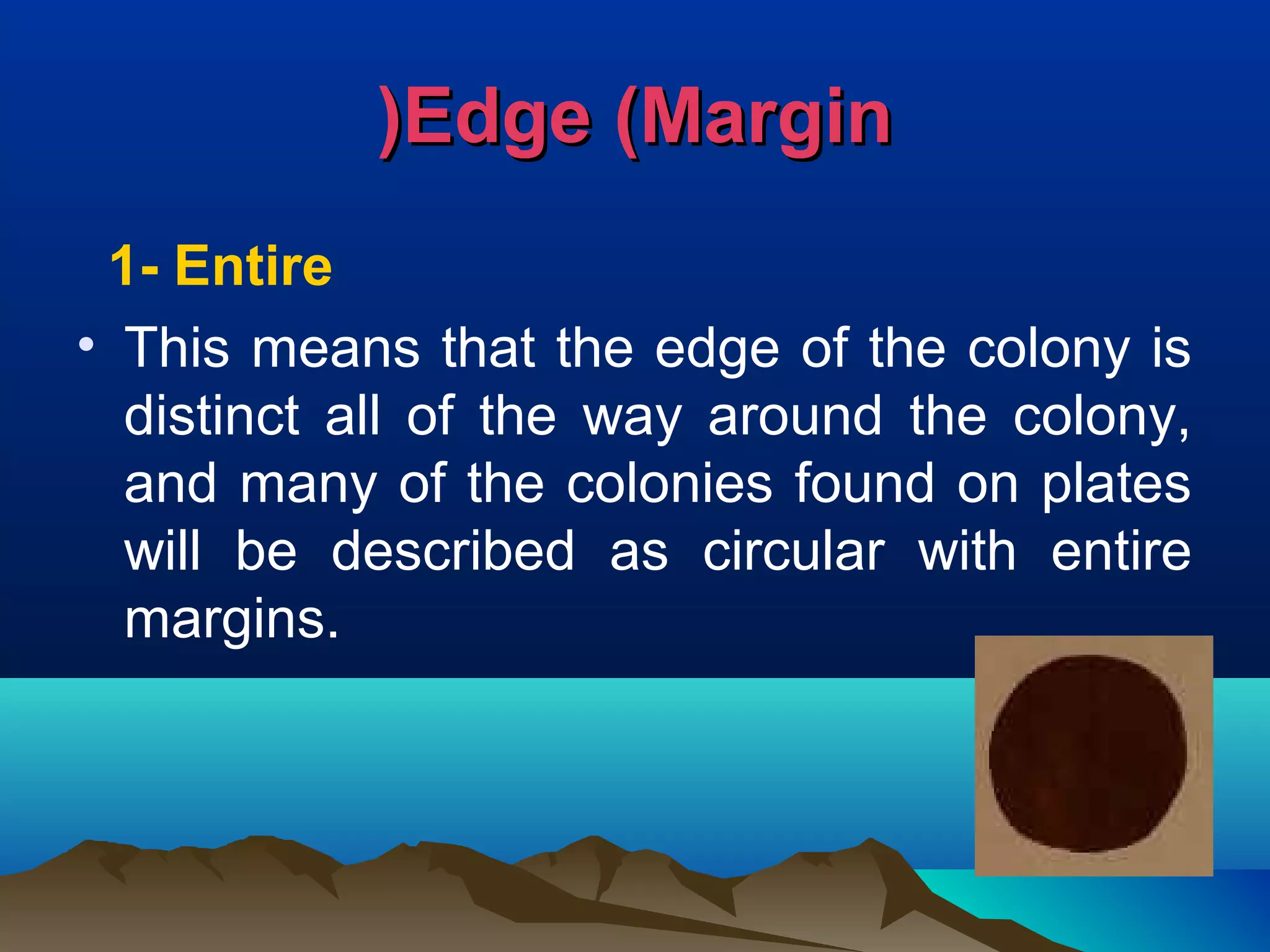 Conventional methods for bacterial identification | PPT