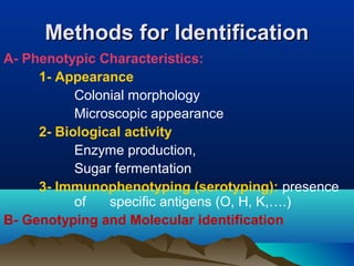 Conventional methods for bacterial identification | PPT