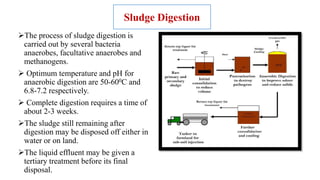 CONVENTIONAL METHOD – WASTE WATER TREATMENT.pptx