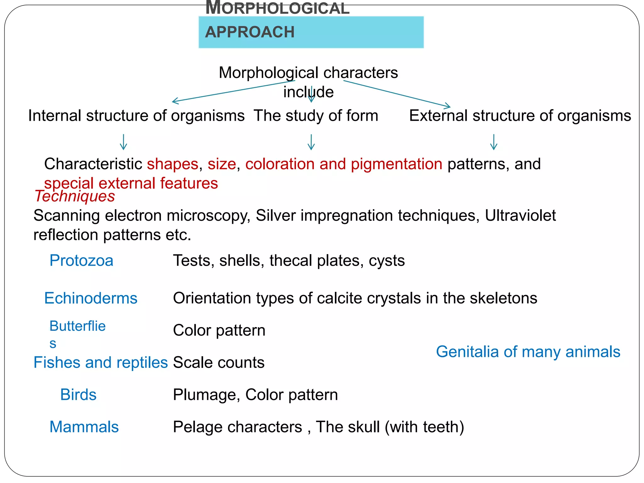 Conventional & newer aspects in taxonomy | PPTX