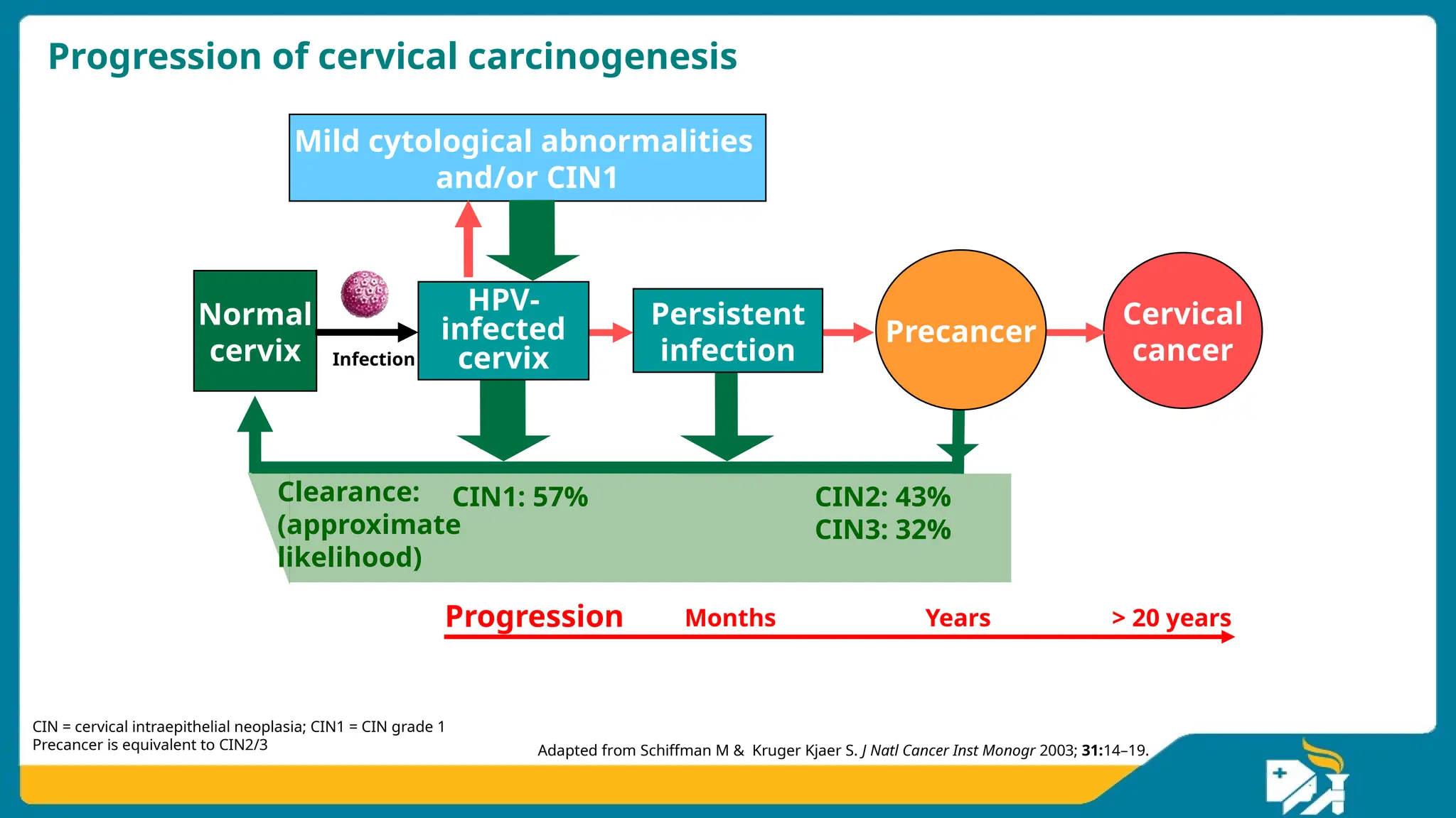Understanding Cervical Carcinoma Overview | PPTX