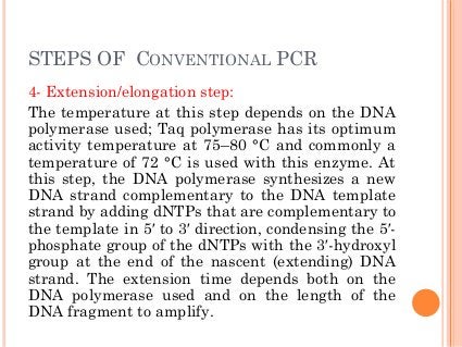CONVENTIONAL PCR | PDF
