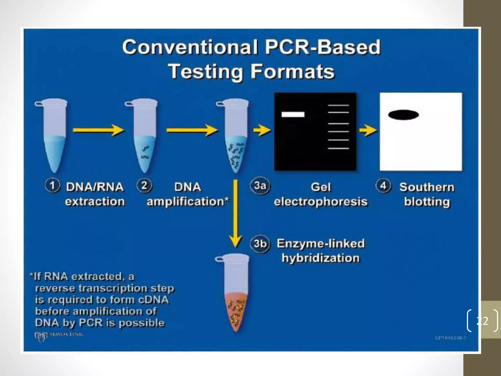 Conventional , qPCR & RTPCR | PPSX