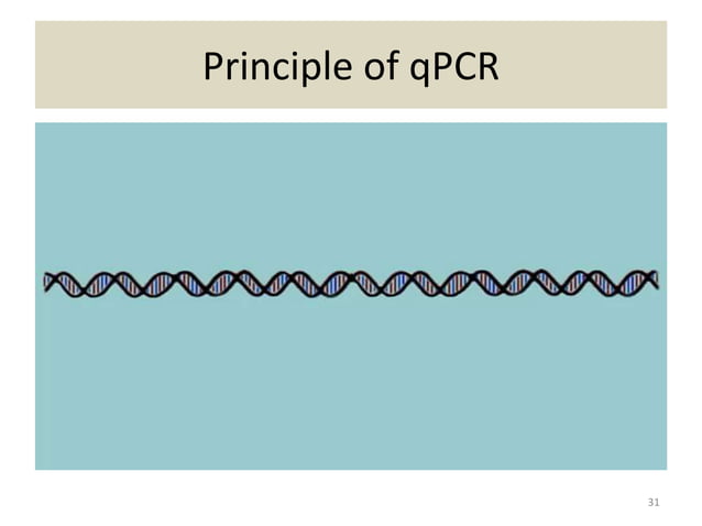 Conventional , qPCR & RTPCR | PPSX