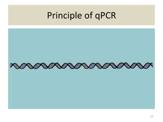 Conventional , qPCR & RTPCR | PPSX