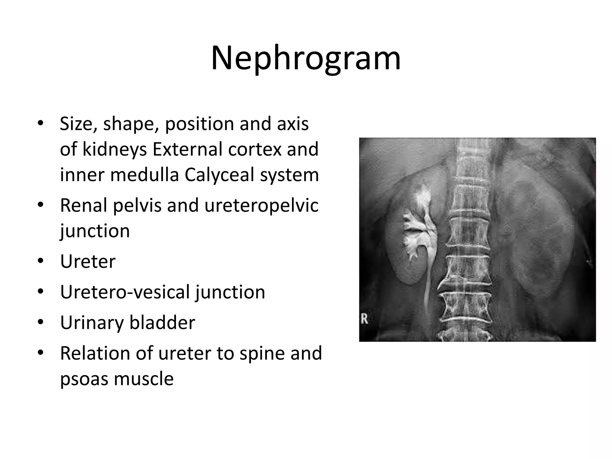Conventional Radiology In Urology.pptx