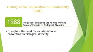 Convention on biodiversity CBD | PPTX