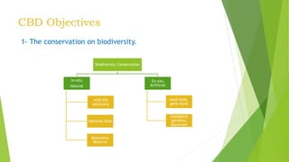 Convention on biodiversity CBD | PPTX
