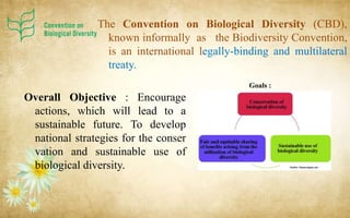 Convention on Biological Diversity - CBD | PPTX