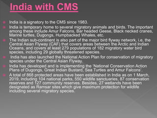 Bonn Convention (CMS) | PPTX