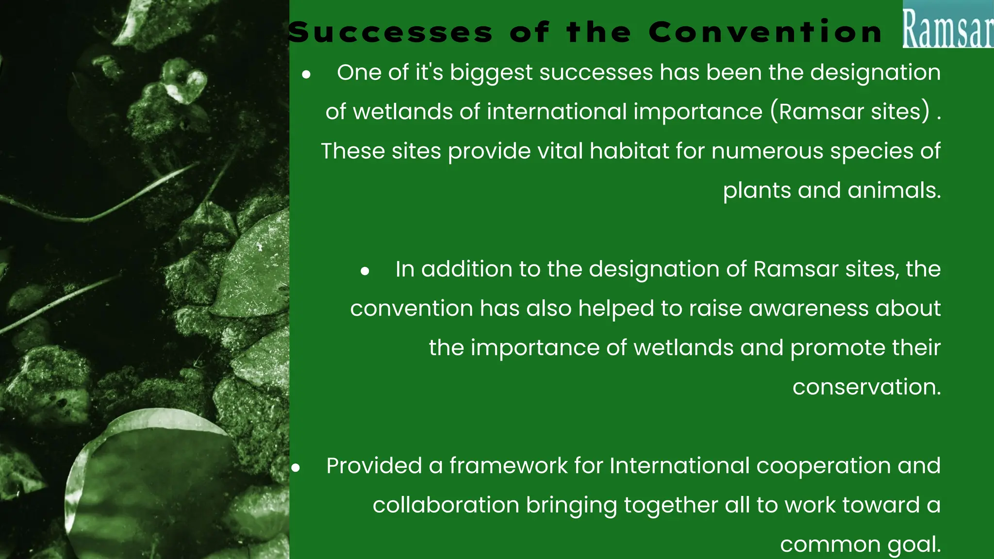 Convention on Wetland with releavnat examples | PDF