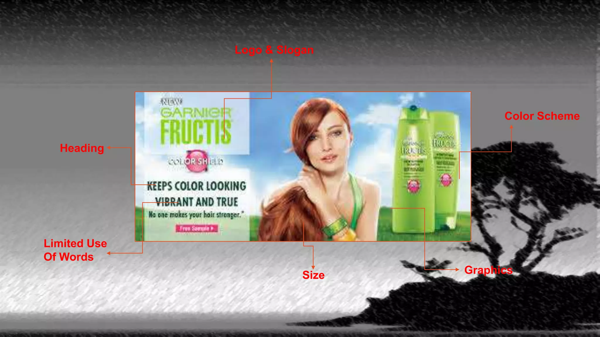 Conventions of Print Advertisements | PPTX