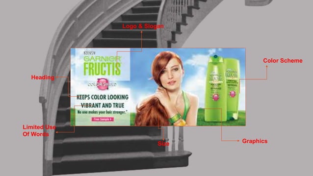 Conventions of a print advertisement | PPT