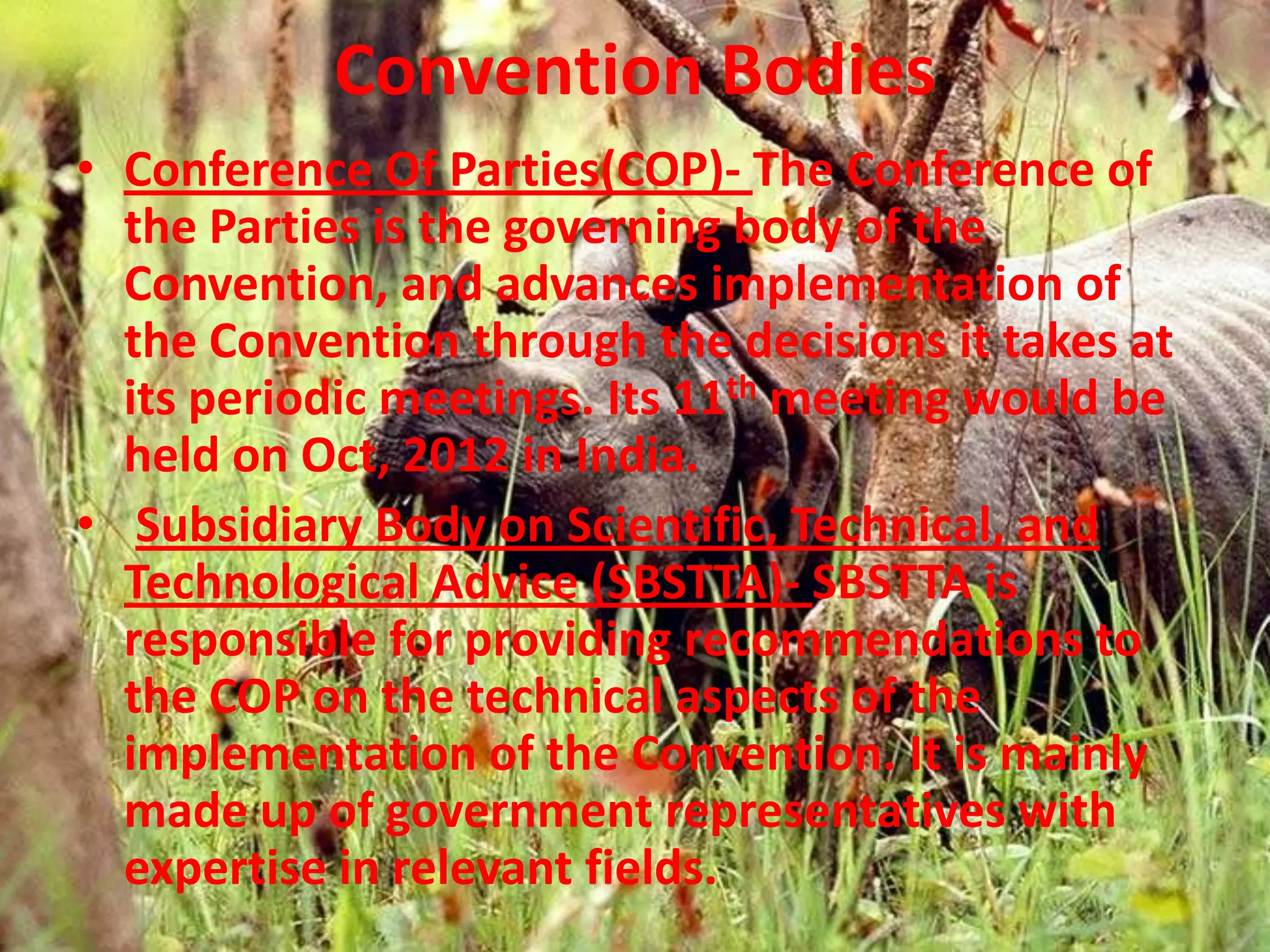 Conventions on biological diversity | PPTX