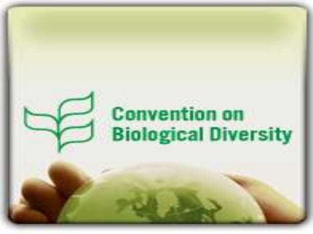 Conventions on biological diversity | PPTX | Environmental Services Industry | Industries