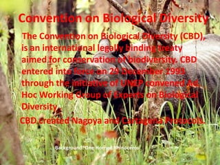 Conventions on biological diversity | PPTX