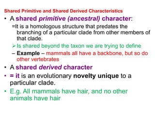 convergent evolutionwith out common ancestor.pptx