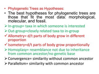 convergent evolutionwith out common ancestor.pptx