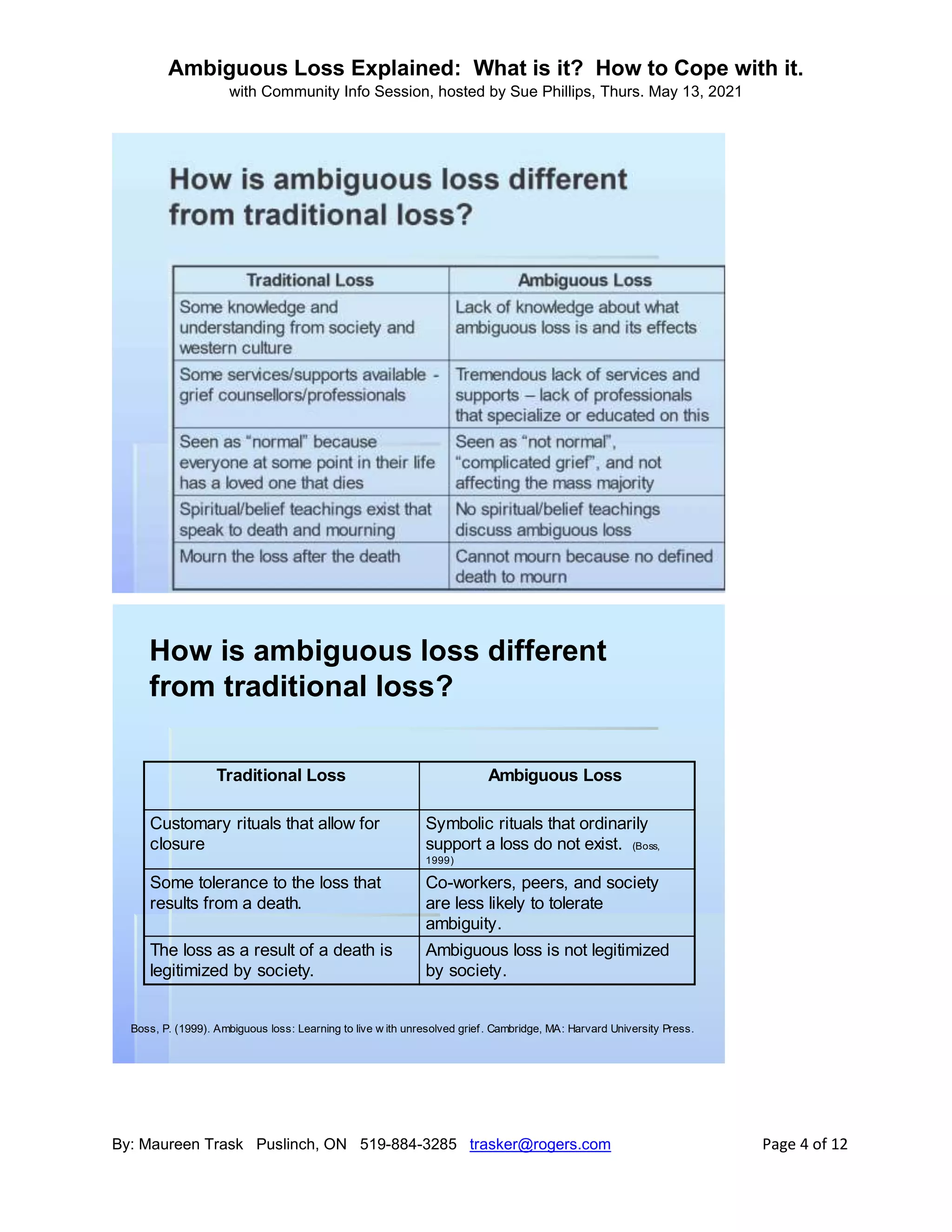 Conversation Ambiguous Loss | PDF