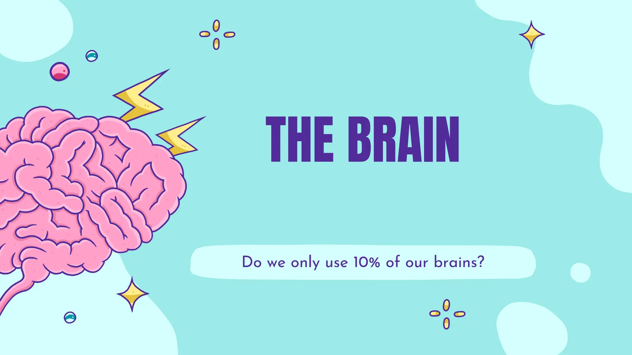 conversation class about the human brain- do we only use 10% of our ...