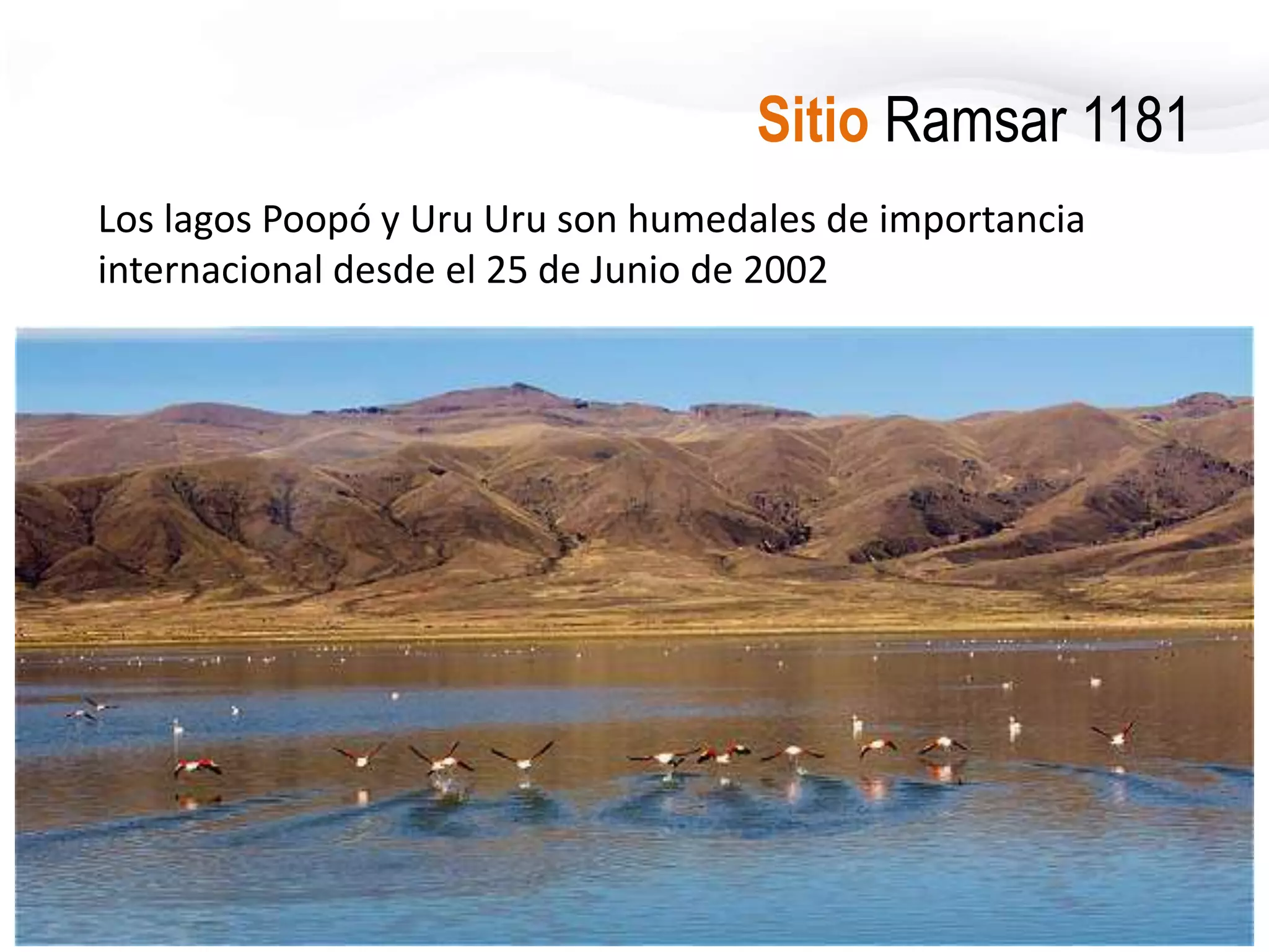 Lagos Poopó y Uru Uru como humedales de importancia internacional ...