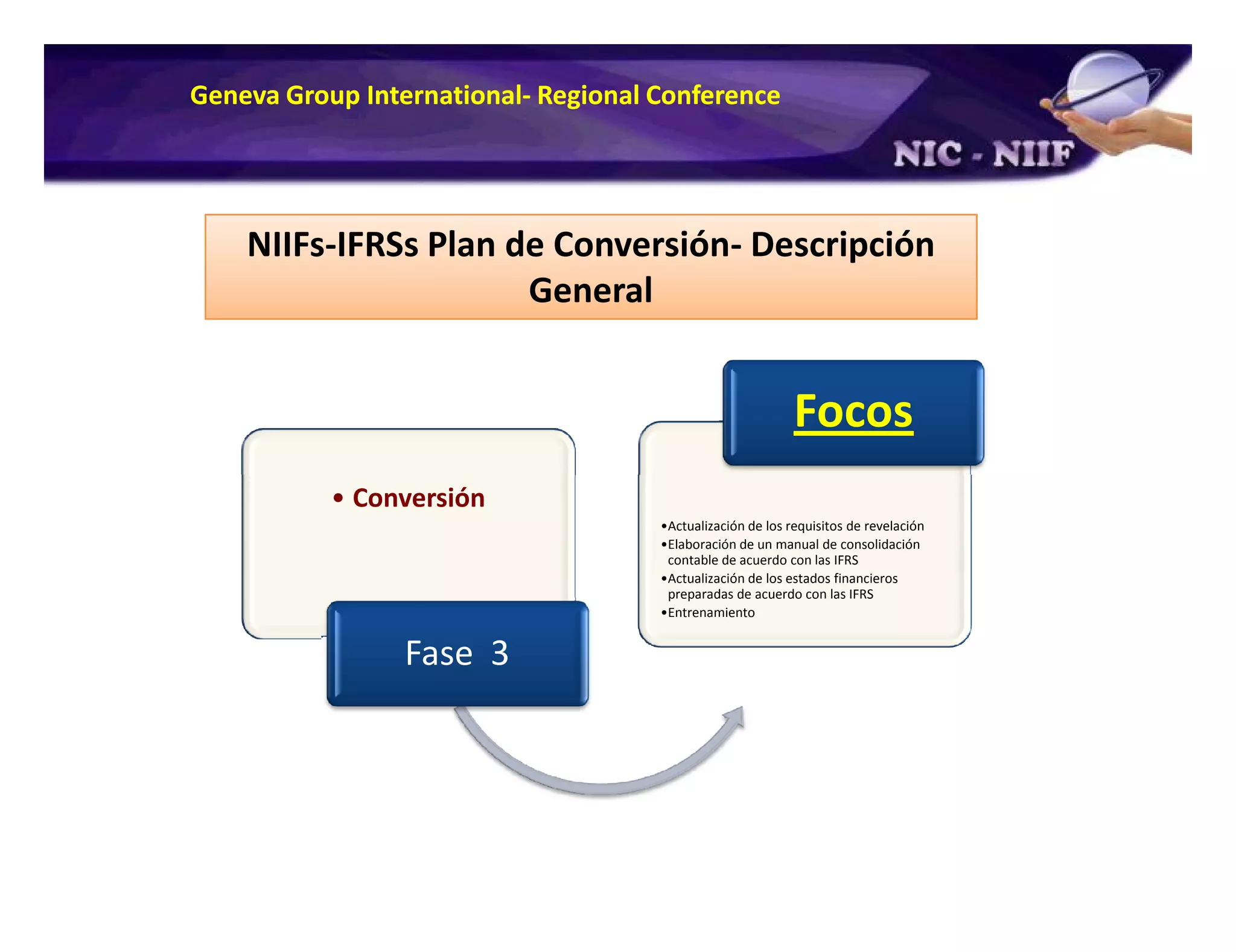 Plan de Conversion a IFRS | PDF