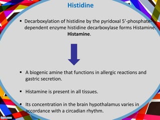 Conversion of amino acids into specialised products | PPTX