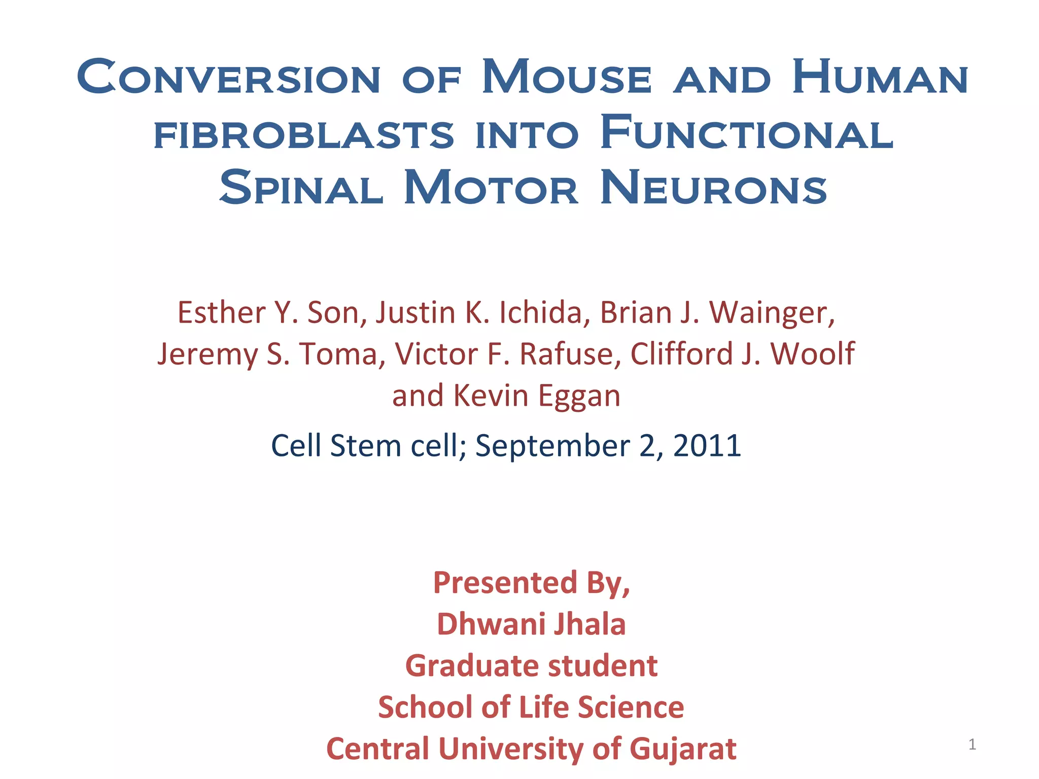 Conversion of mouse and human fibroblasts into functional spinal motor neurons | PPT