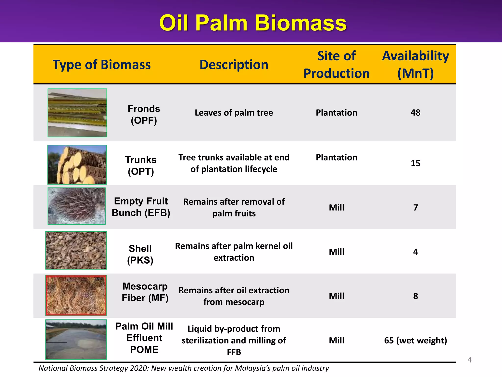 Green Conversion of Oil Palm Empty Fruit Bunch into Fermentable Sugars ...