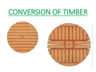 conversion of timber.pptx