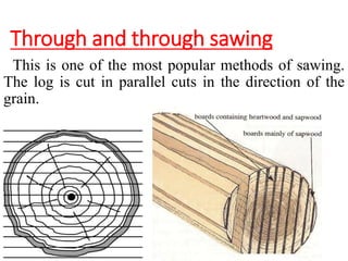 conversion of timber.pptx
