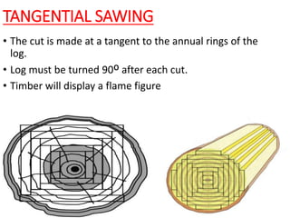 conversion of timber.pptx