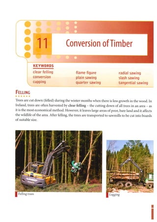 conversion_of_timber.pdf basic woods theory | PDF