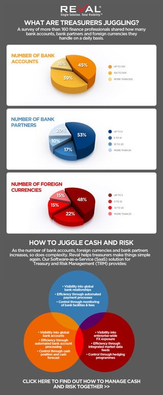 What are the Treasurers Juggling? | PDF