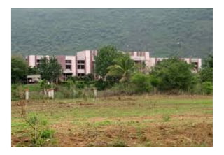 40 Acres Agricultural Land for sale in Arilova Visakhapatnam Andhra ...