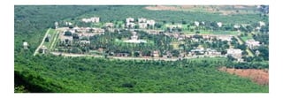 40 Acres Agricultural Land for sale in Arilova Visakhapatnam Andhra ...