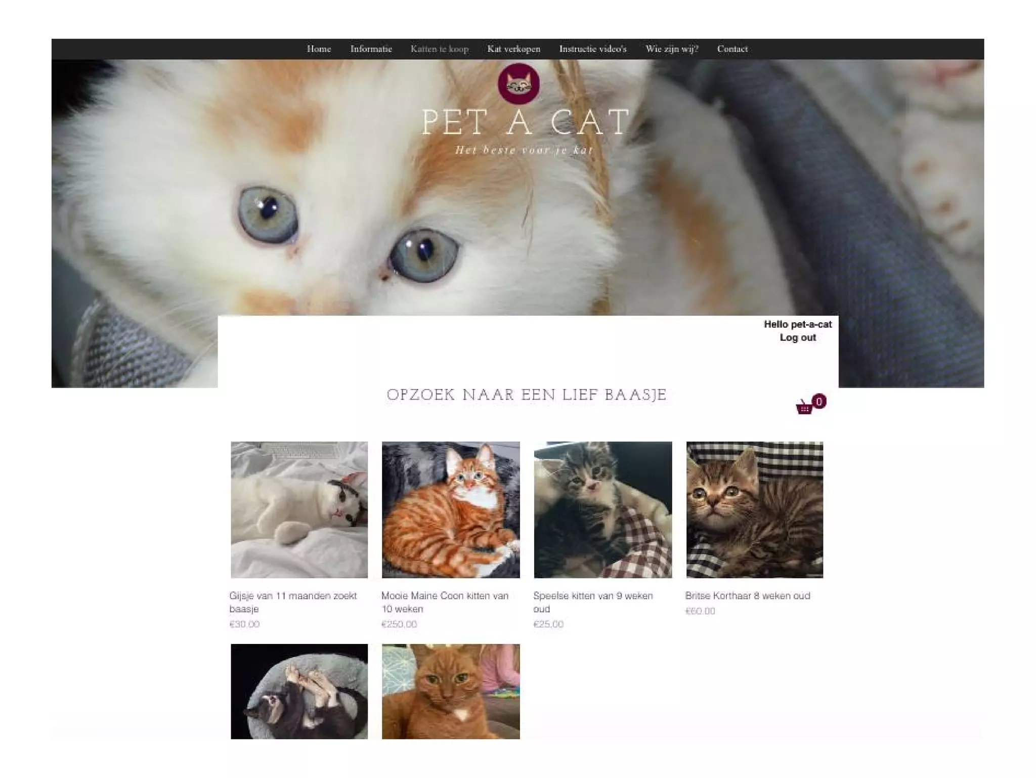 Mediaproducten Pet A Cat | PPT