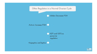 The Normal Menstrual Cycle | PDF