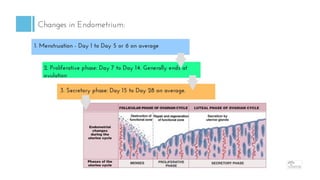 The Normal Menstrual Cycle | PDF