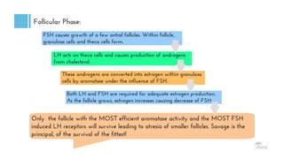 The Normal Menstrual Cycle | PDF