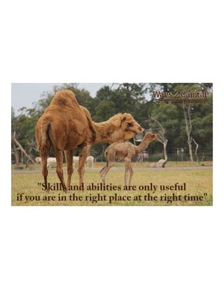 The Right Place | PDF