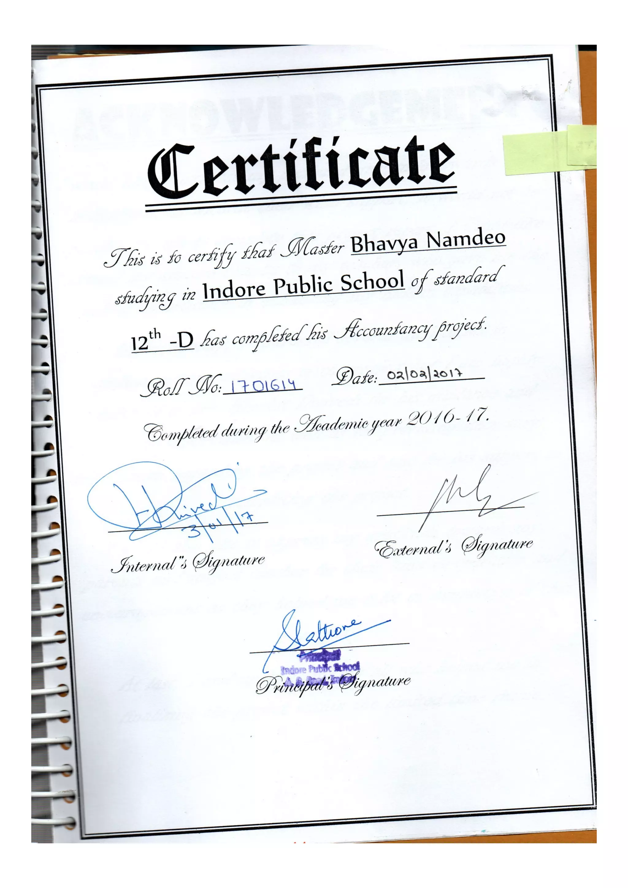 Accountancy class 12 comprehensive project (all 3 projects covered) | PDF