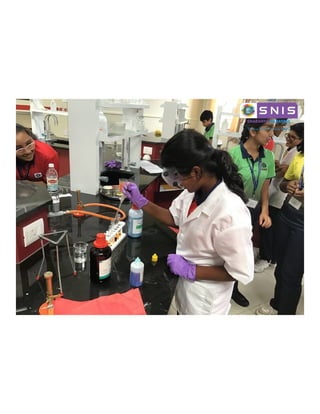 Project Based Learning at SNIS | PDF