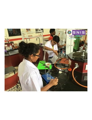 Project Based Learning at SNIS | PDF