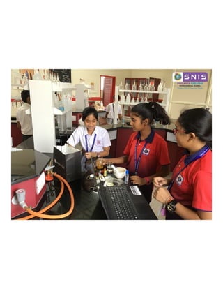 Project Based Learning at SNIS | PDF