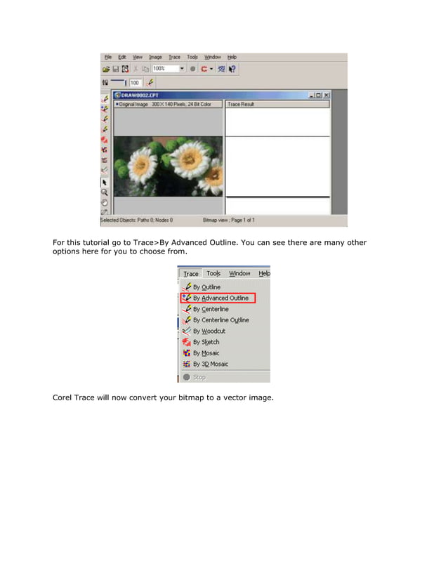 Convert bitmap image to vector image | PDF