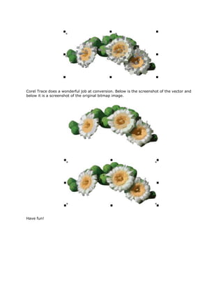 Convert bitmap image to vector image | PDF