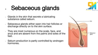 sebaceous cyst | PPTX